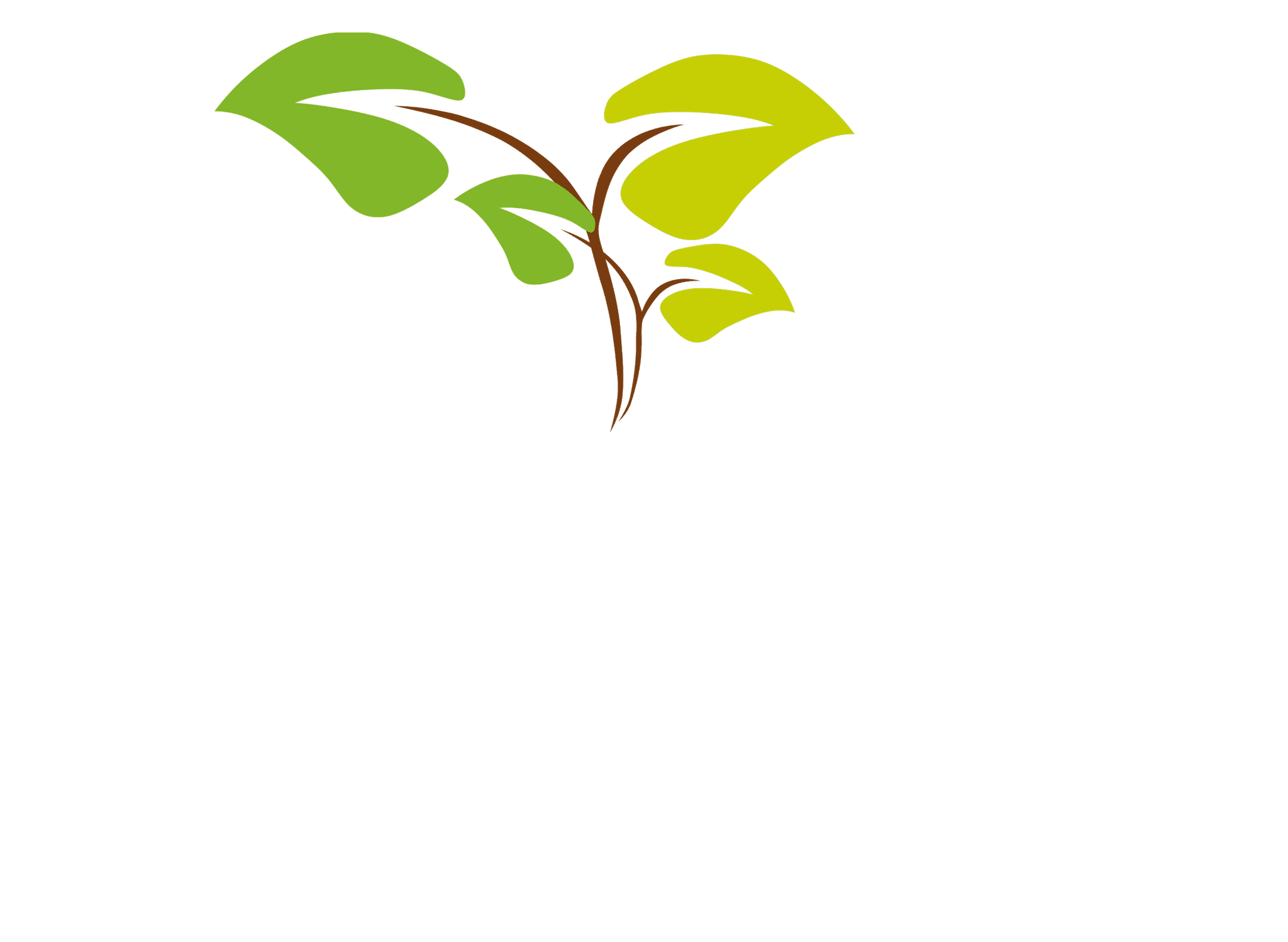 Kärcher Partnership & New Care Technology at Ghyll Royd